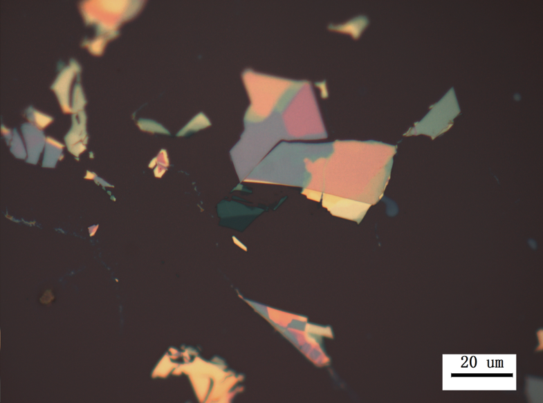 Mechanically Exfoliated Monolayer WSe2 On Substrates - Mechanically ...