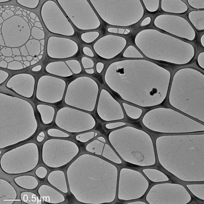 Graphene on Ultra-fine 2000 Mesh Copper TEM Grids