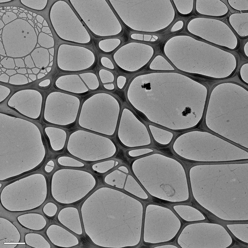 Graphene on Lacey Carbon 300 Mesh Copper TEM Grids | ACS