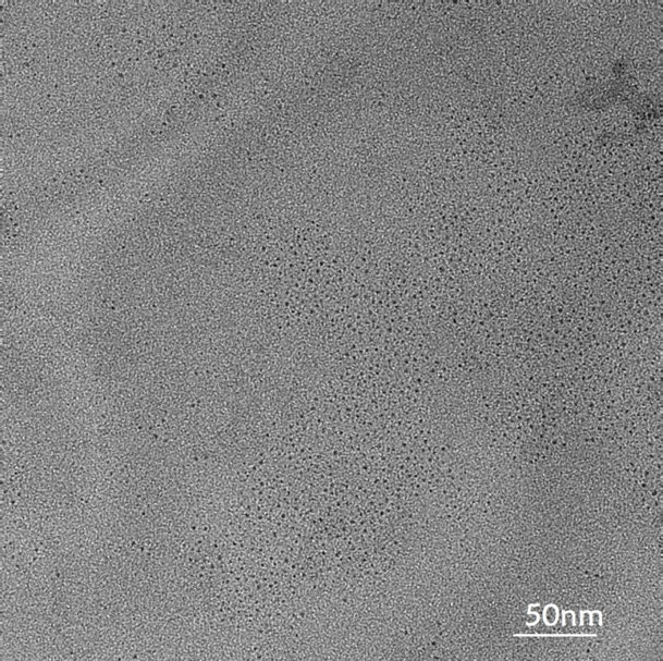 Monolayer Molybdenum Disulfide (MoS2) Quantum Dots powder - Materials ...
