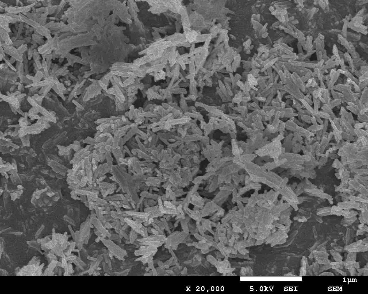ZSM-23 | Zeolite ZSM-23 | ACS Material