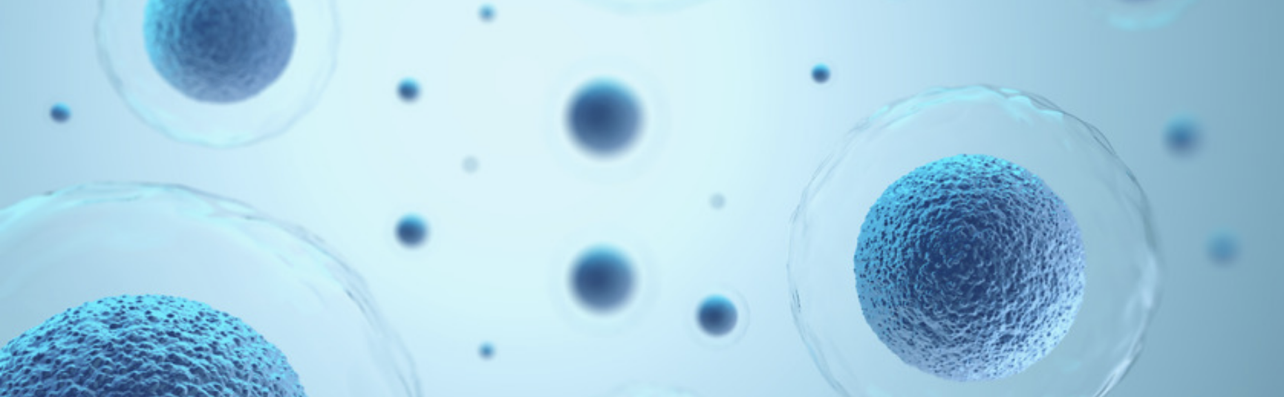 Introducing BioMatec™ PrepMaster & Sorter System