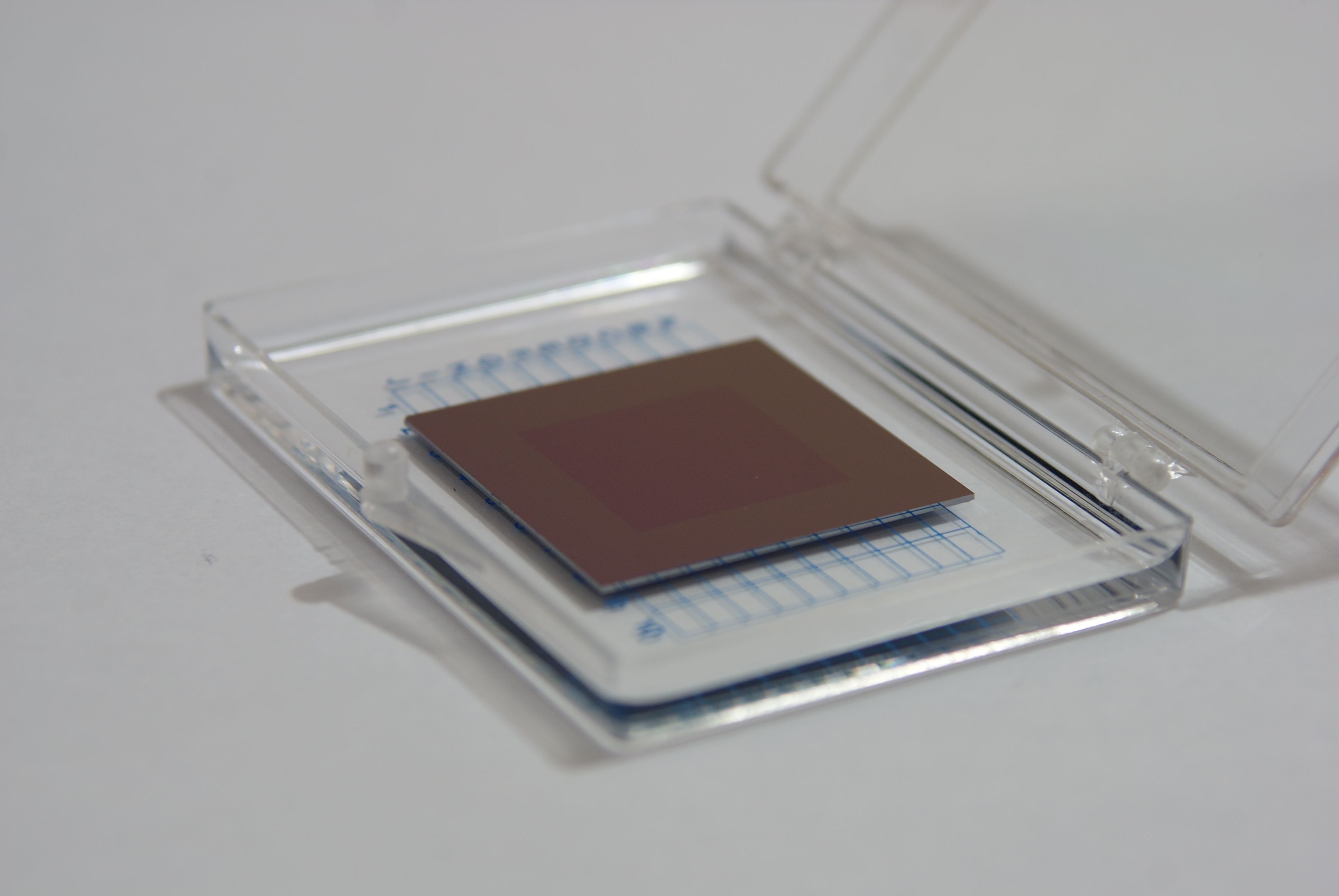 CVD Graphene on SiO2 Substrate | ACS Material